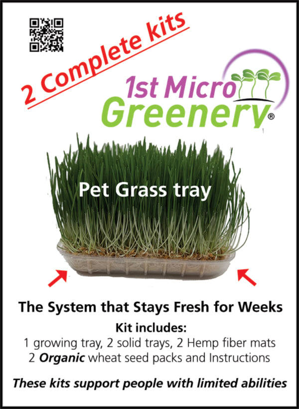 Organic DIY Pet Grass kit – 1st Micro Greenery